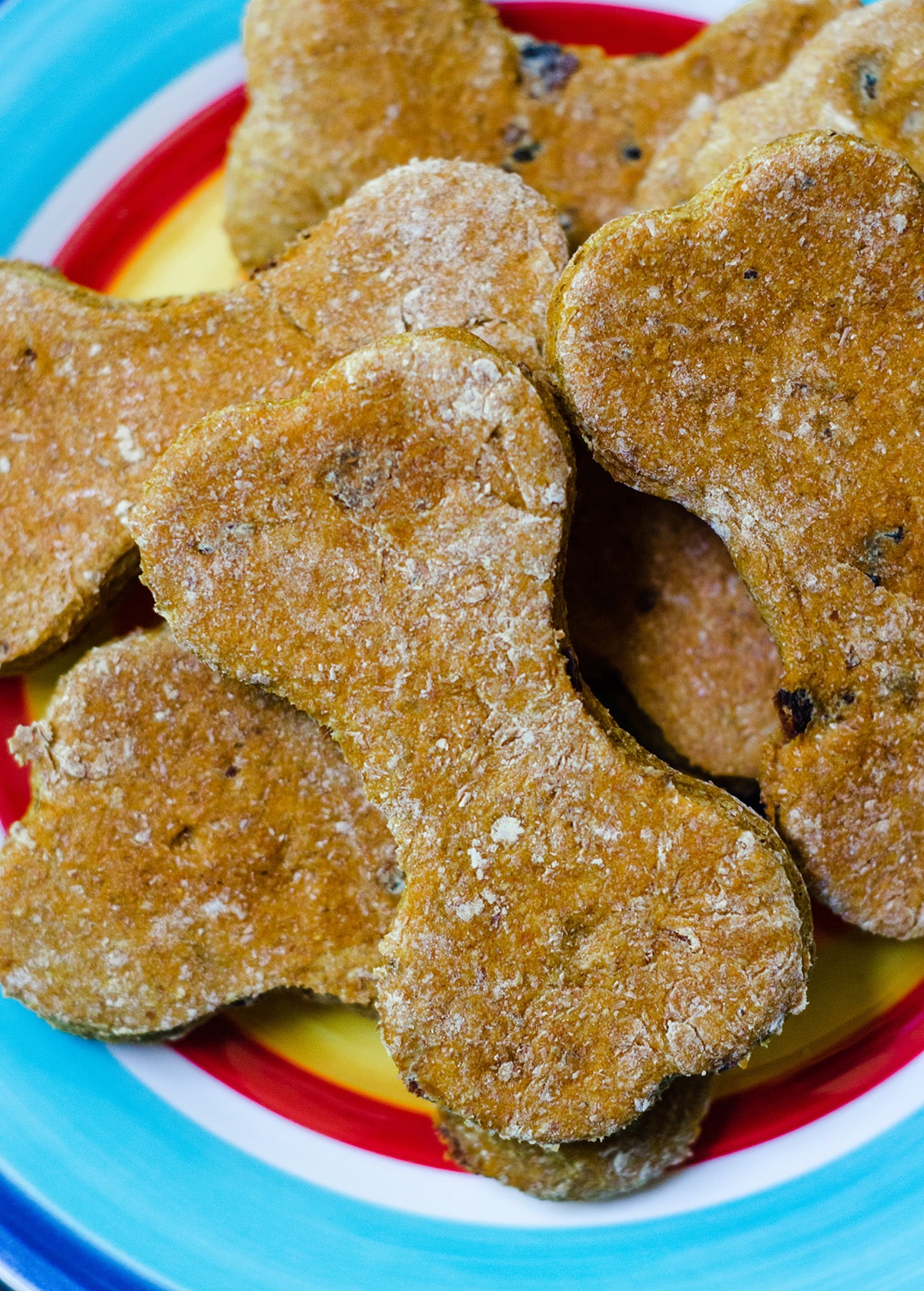 Homemade Pumpkin Dog Treats Peanut Free 