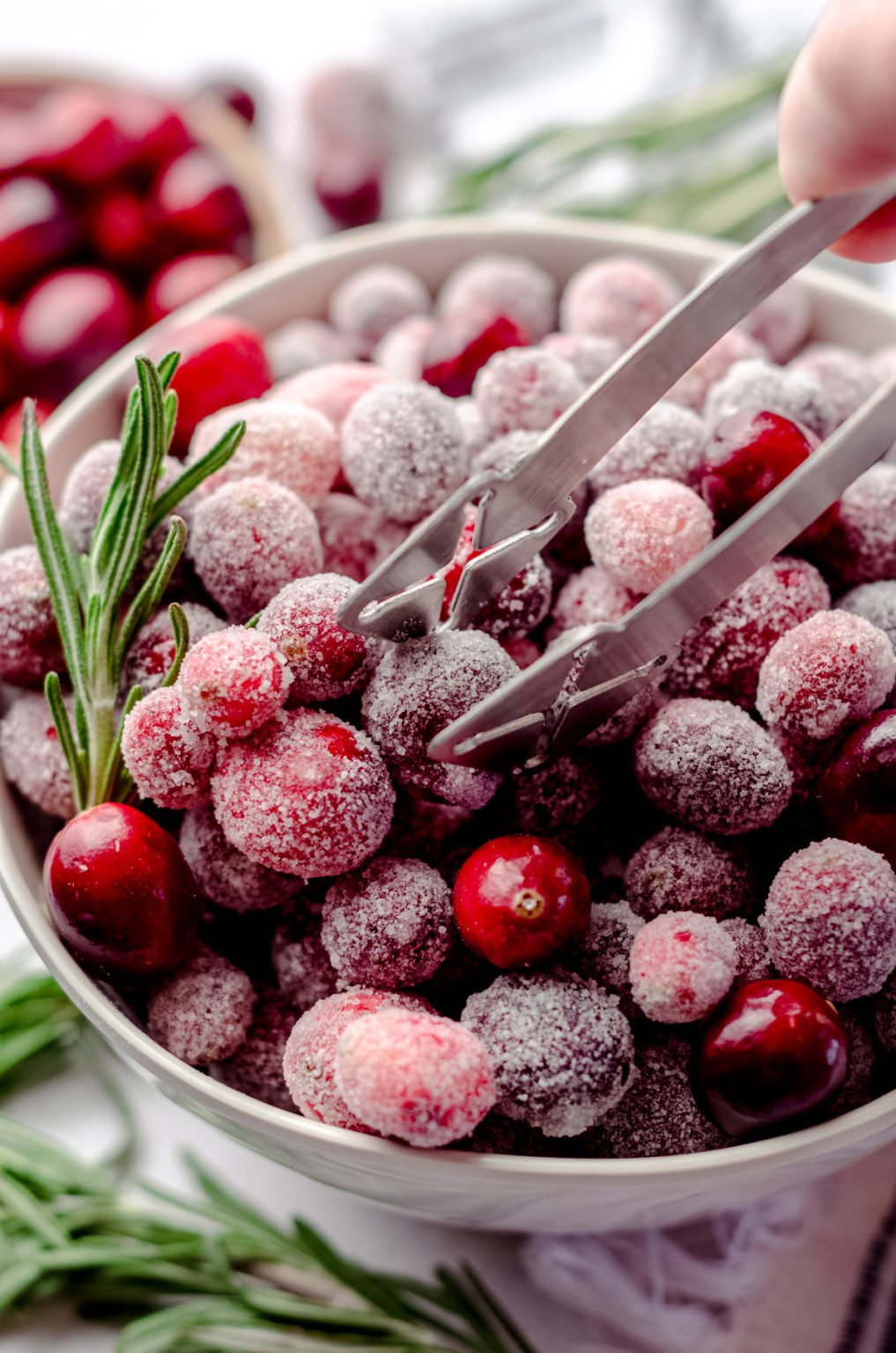 Sugared Cranberries Recipe (only 3 ingredients!) - Fresh April Flours