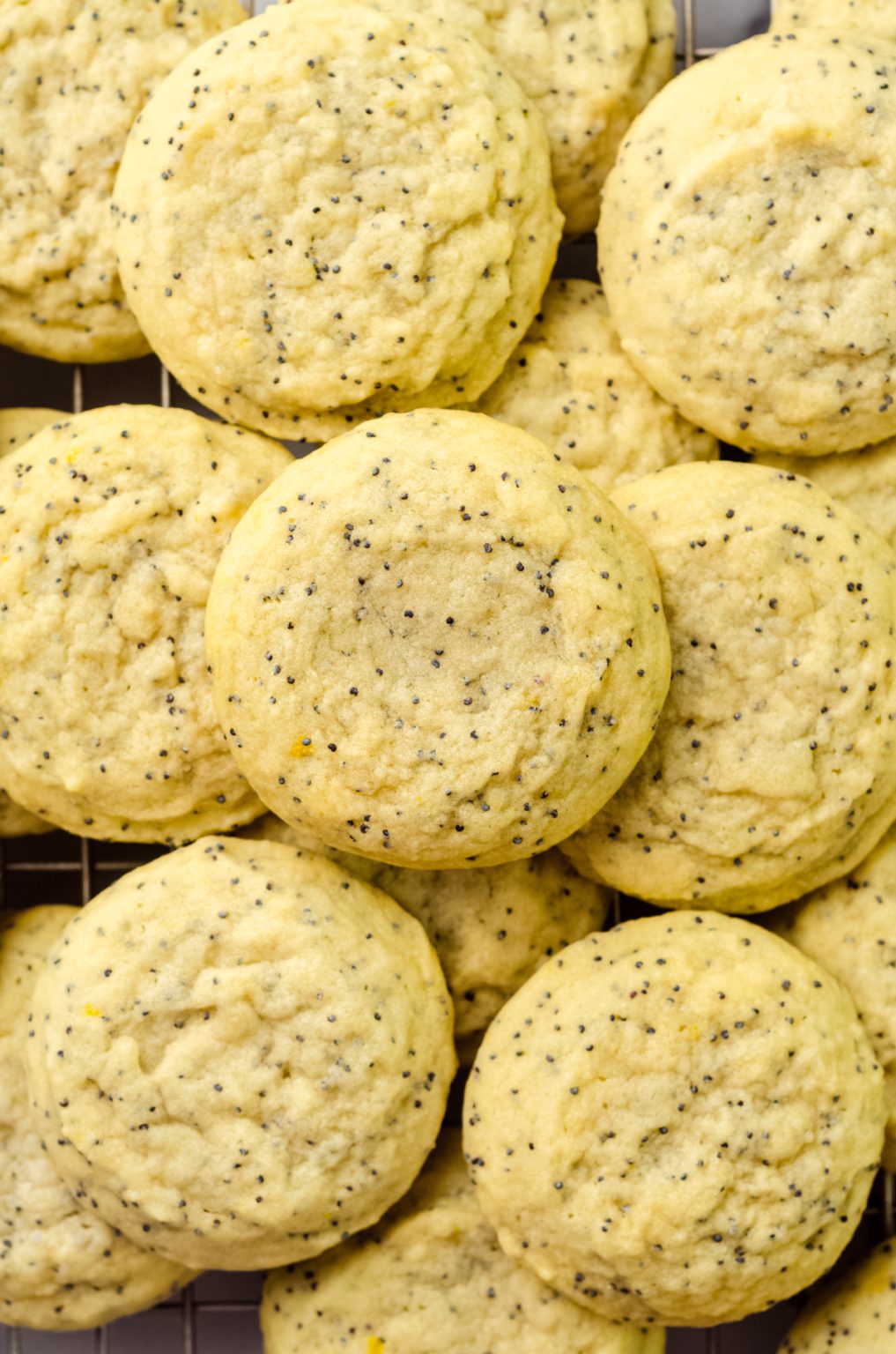 Frosted Lemon Poppy Seed Cookies - Fresh April Flours