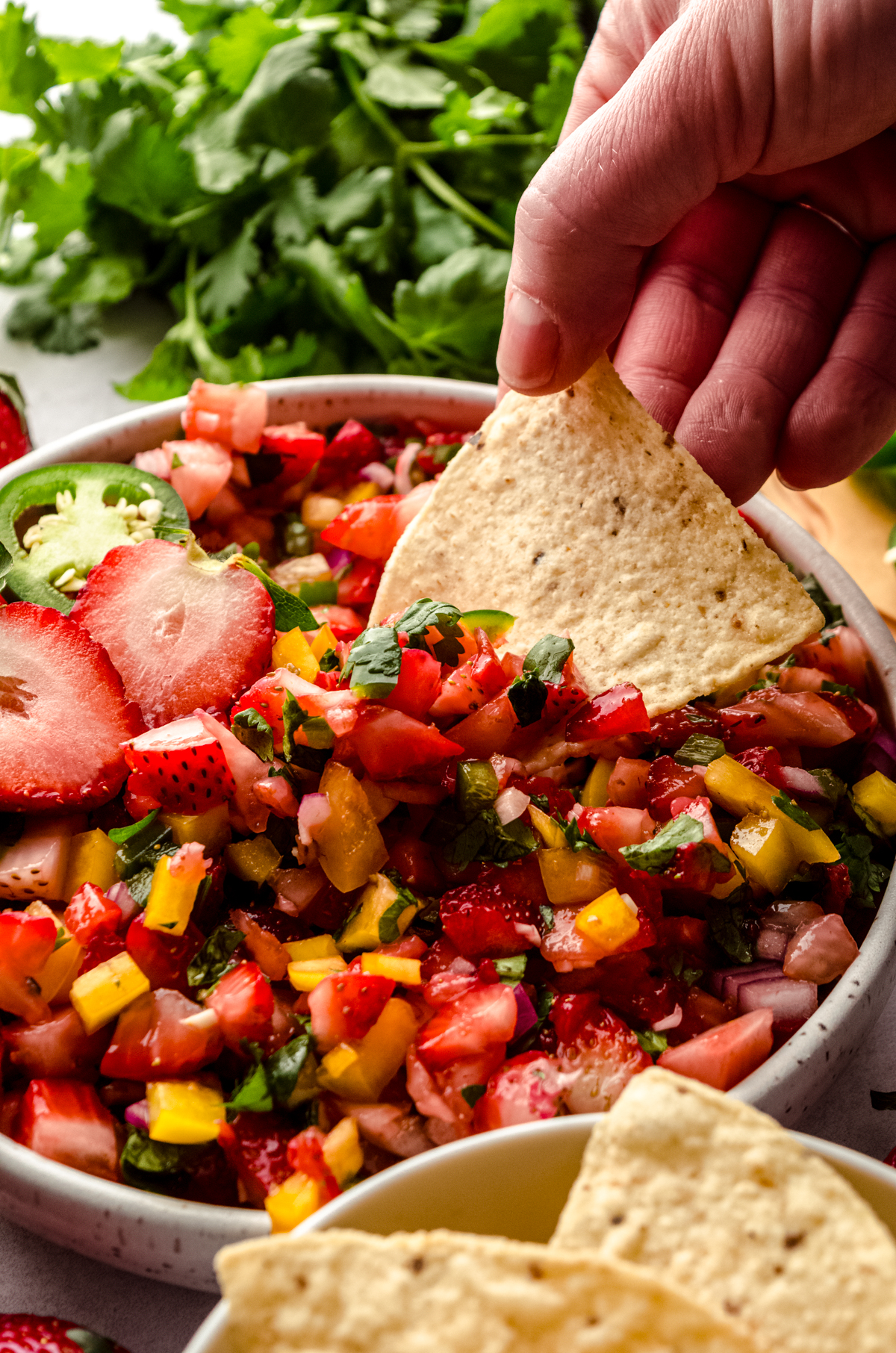 Easy Jalapeño Strawberry Salsa Recipe - Fresh April Flours
